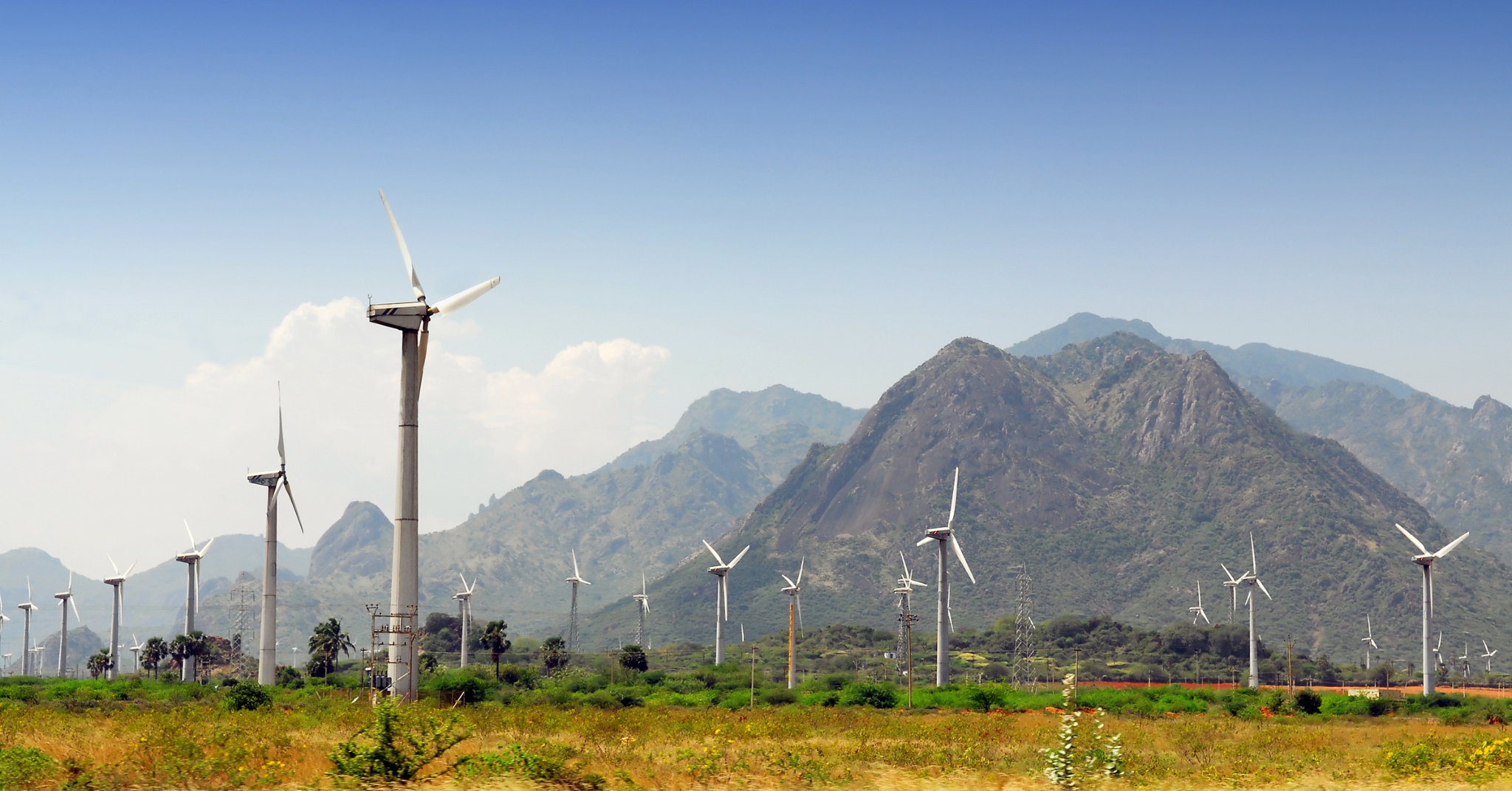 Expanding India's Climate Ambitions | Edelman Global Advisory