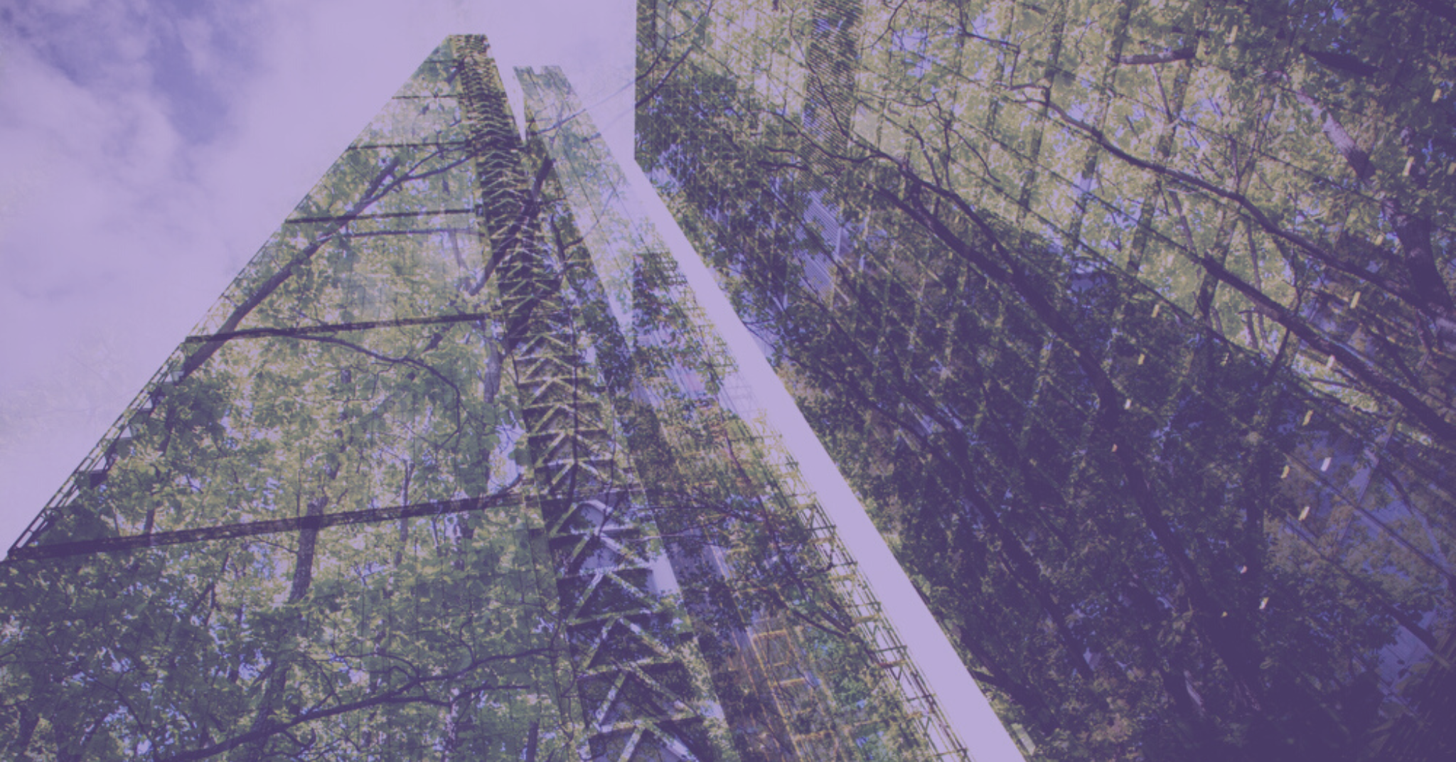 Climate Policy Offering | Edelman Global Advisory