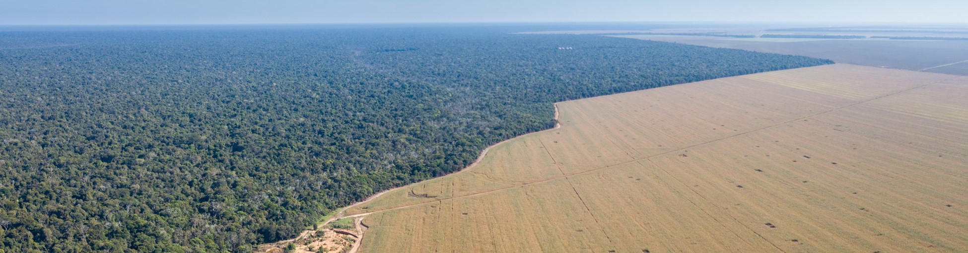 Five Facts to Know: The Amazon Summit and Deforestation | Edelman ...