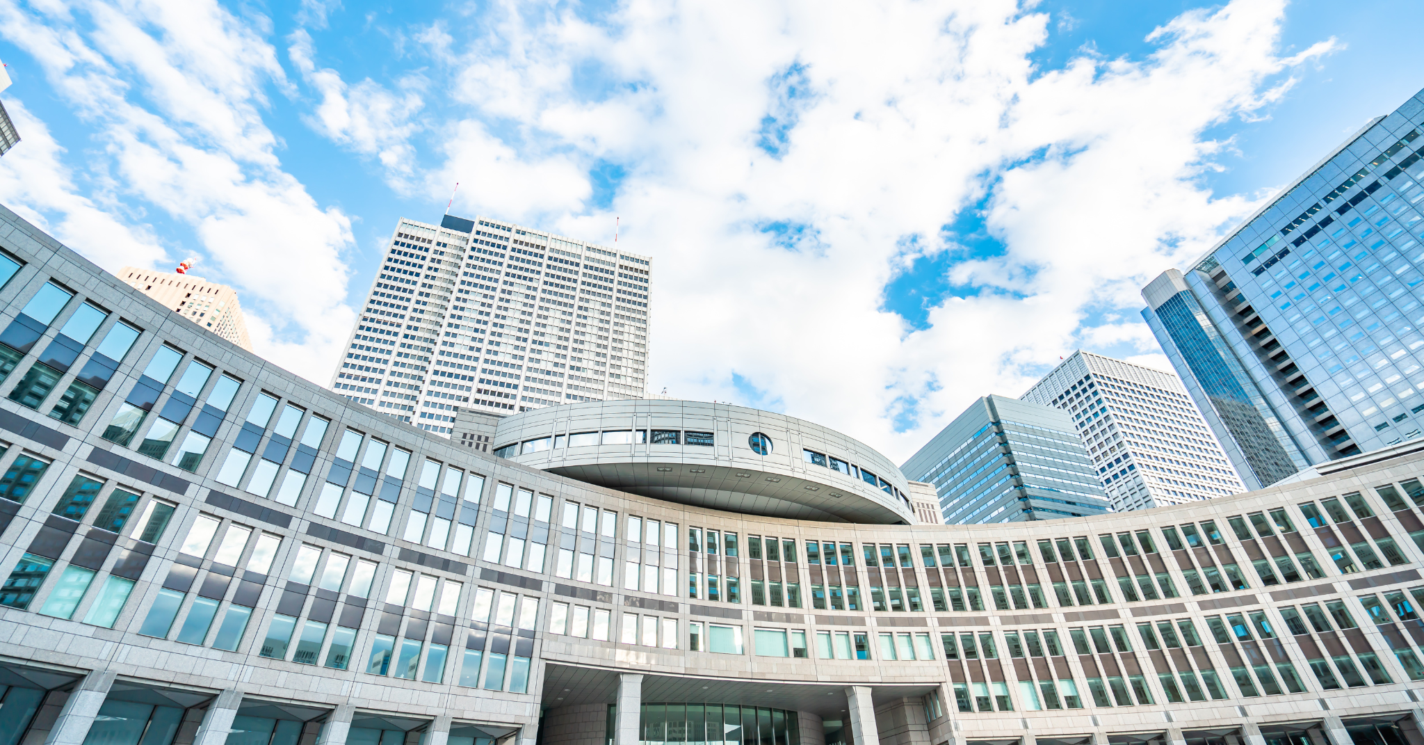 Japan’s 2024 General Election Results